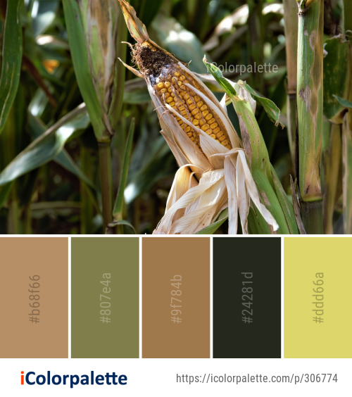 Color Palette Ideas from Insect Fauna Locust Image | iColorpalette