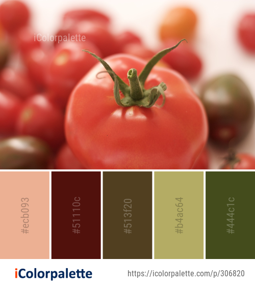 28+ Tomato Color Palette ideas in 2026 | iColorPalette