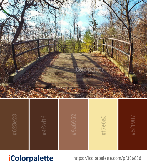 Color Palette Ideas from Path Nature Leaf Image | iColorPalette