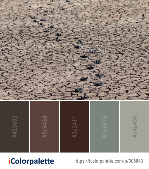 Color Palette Ideas from Drought Soil Water Image | iColorpalette