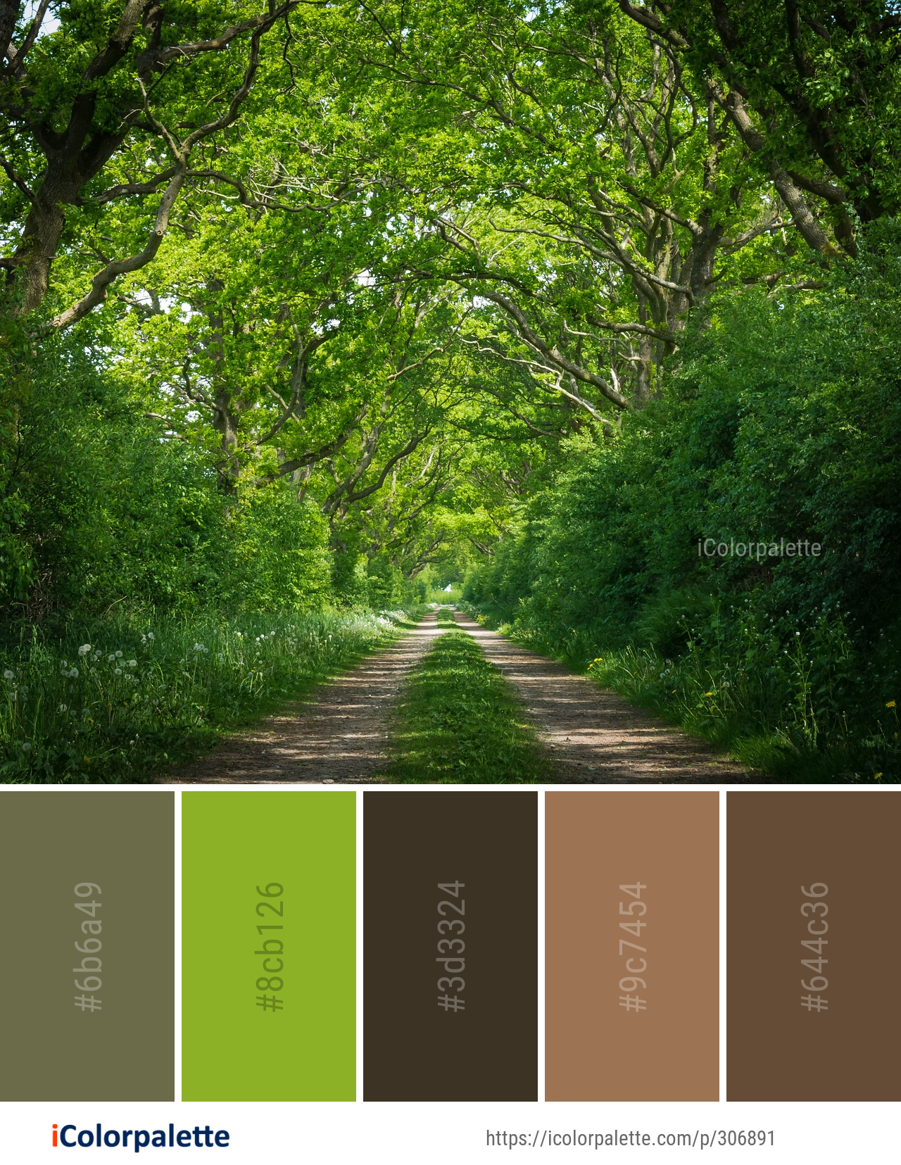 Color Palette Ideas from Vegetation Nature Woodland Image | iColorpalette