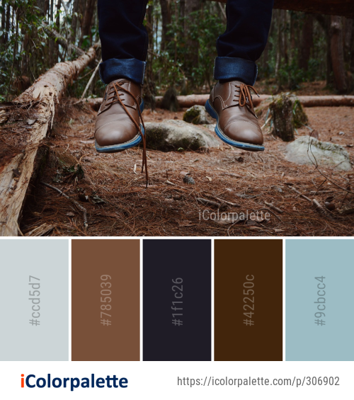 18+ Shoe Color Palette ideas in 2025 | iColorPalette