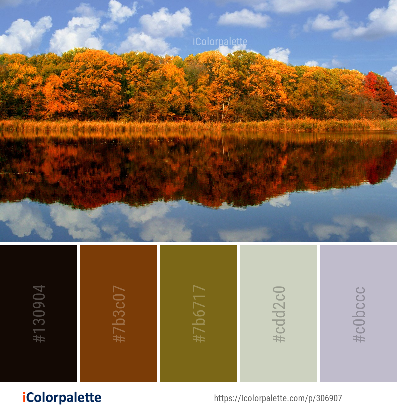 Color Palette Ideas from Reflection Nature Leaf Image | iColorpalette