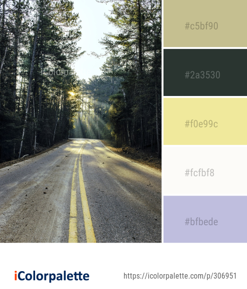 Color Palette Ideas from Road Path Lane Image | iColorpalette