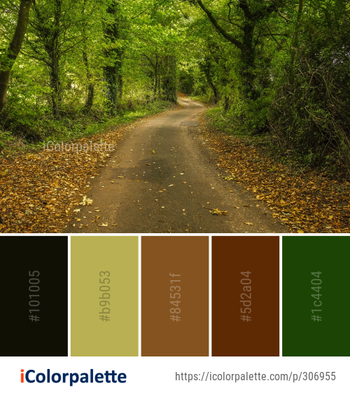 Color Palette Ideas from Road Path Woodland Image | iColorpalette