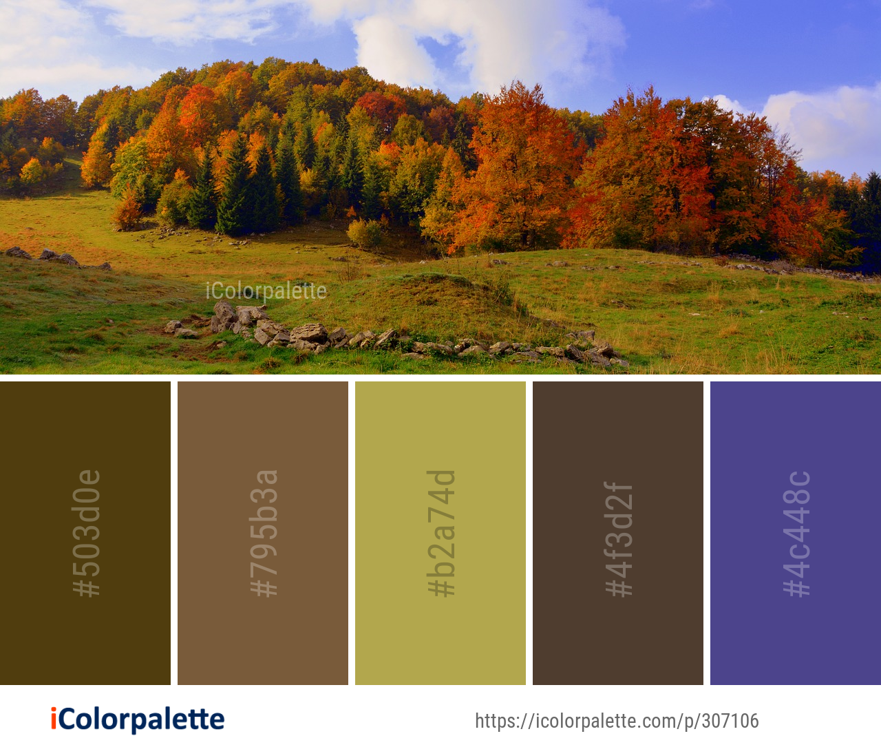 Color Palette Ideas from Nature Ecosystem Temperate Broadleaf And Mixed ...