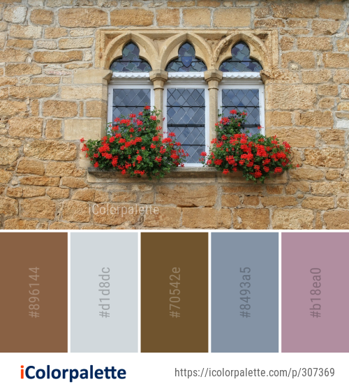 Color Palette Ideas from Flower Window Wall Image | iColorpalette