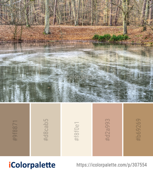 39+ Swamp Color Palette ideas in 2025 | iColorPalette