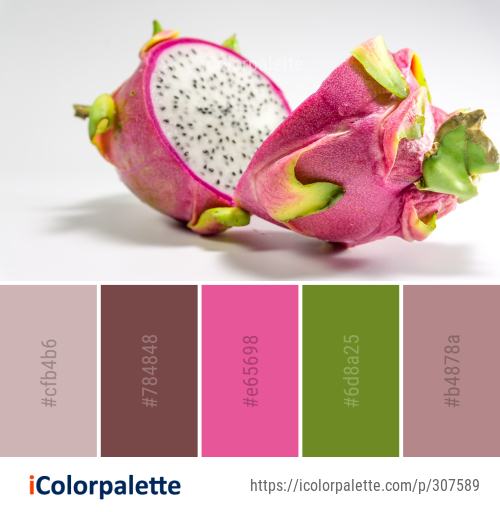 7+ Pitaya Color Palette ideas in 2025 | iColorPalette