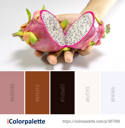 7+ Pitaya Color Palette ideas in 2025 | iColorPalette