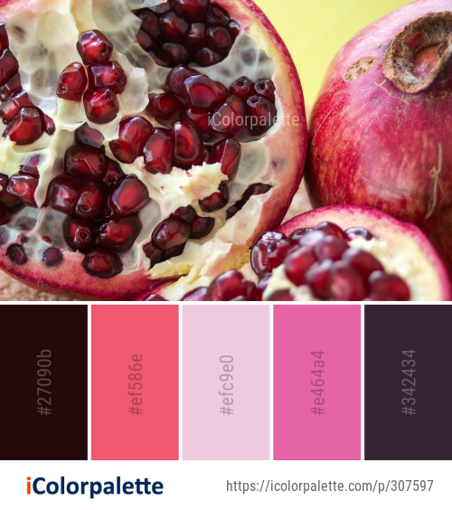 30+ Cranberry Color Palette ideas in 2025 | iColorPalette