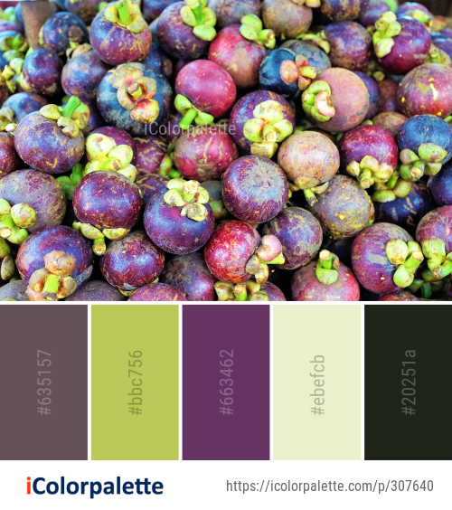 mangosteen color code