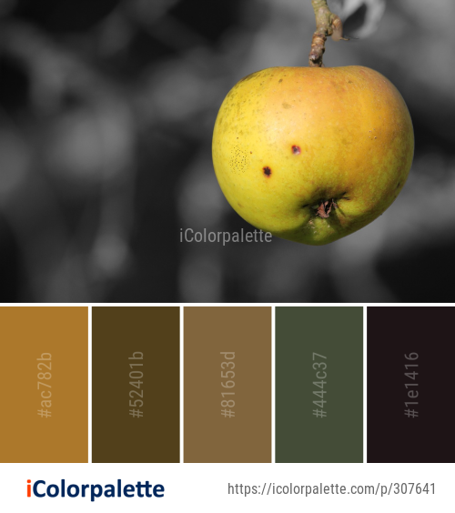 Color Palette Ideas from Apple Yellow Fruit Image | iColorpalette
