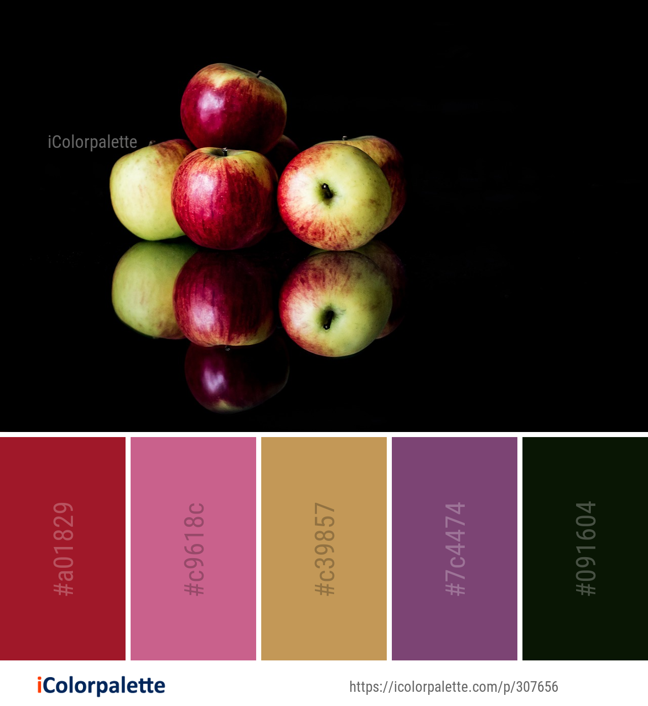 Color Palette Ideas from Fruit Apple Still Life Photography Image ...