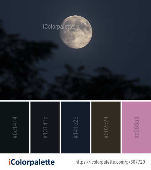29 Full Moon Color Palette ideas in 2025 | iColorpalette