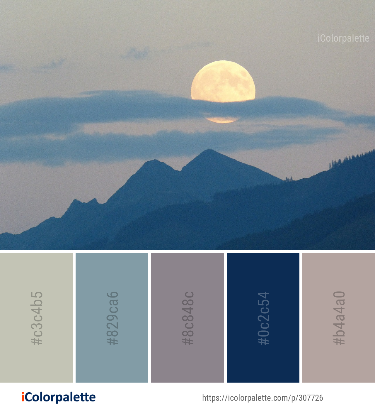 Color Palette Ideas from Sky Daytime Atmosphere Image | iColorpalette