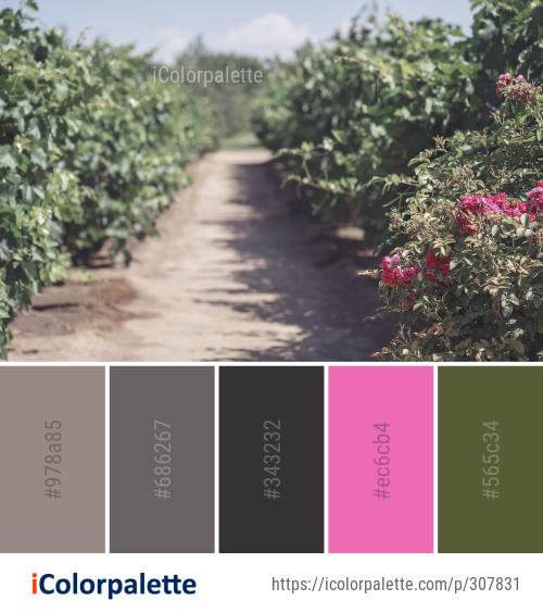 Color Palette Ideas from Plant Flower Tree Image | iColorpalette