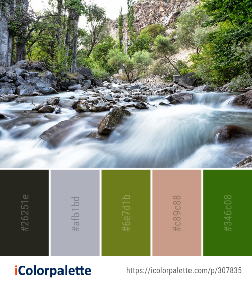 Color Palette Ideas from Water Stream Nature Image | iColorpalette