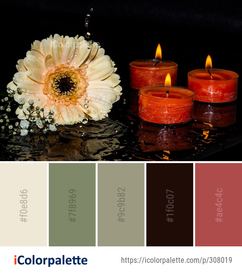 6+ Candle Color Palette ideas in 2025 | iColorPalette