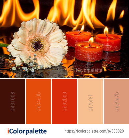 6 Candle Color Palette ideas in 2025 | iColorpalette