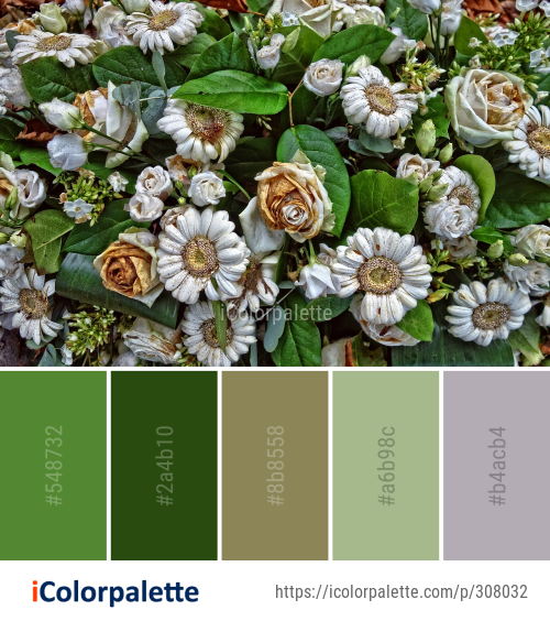 Color Palette Ideas from Flower Plant Bouquet Image | iColorpalette