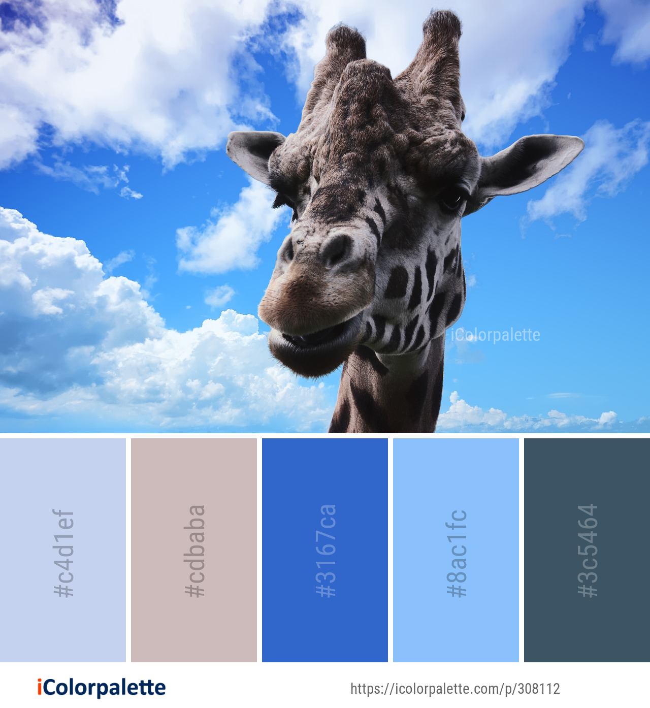 Color Palette Ideas from Giraffe Sky Giraffidae Image | iColorpalette