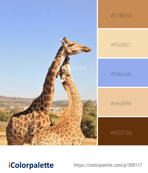 Color Palette Ideas from Giraffe Terrestrial Animal Wildlife Image ...