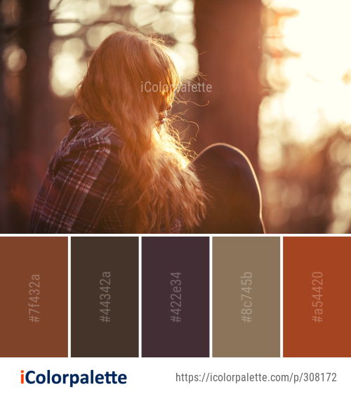 27 Backlighting Color Palette ideas in 2025 | iColorpalette