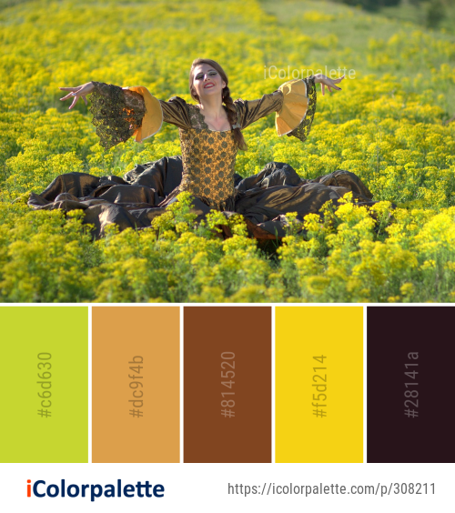 Color Palette Ideas from Yellow Field Rapeseed Image | iColorpalette
