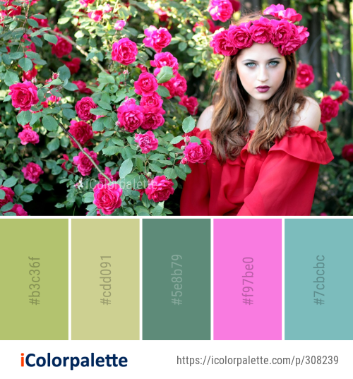 Color Palette Ideas from Flower Rose Family Image | iColorpalette