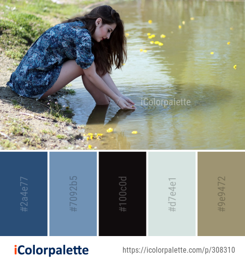 Color Palette Ideas from Water Photograph Beauty Image | iColorpalette