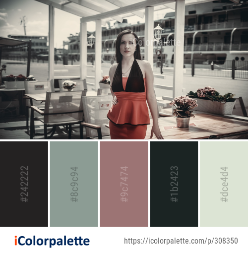Color Palette Ideas from Lady Girl Dress Image | iColorpalette