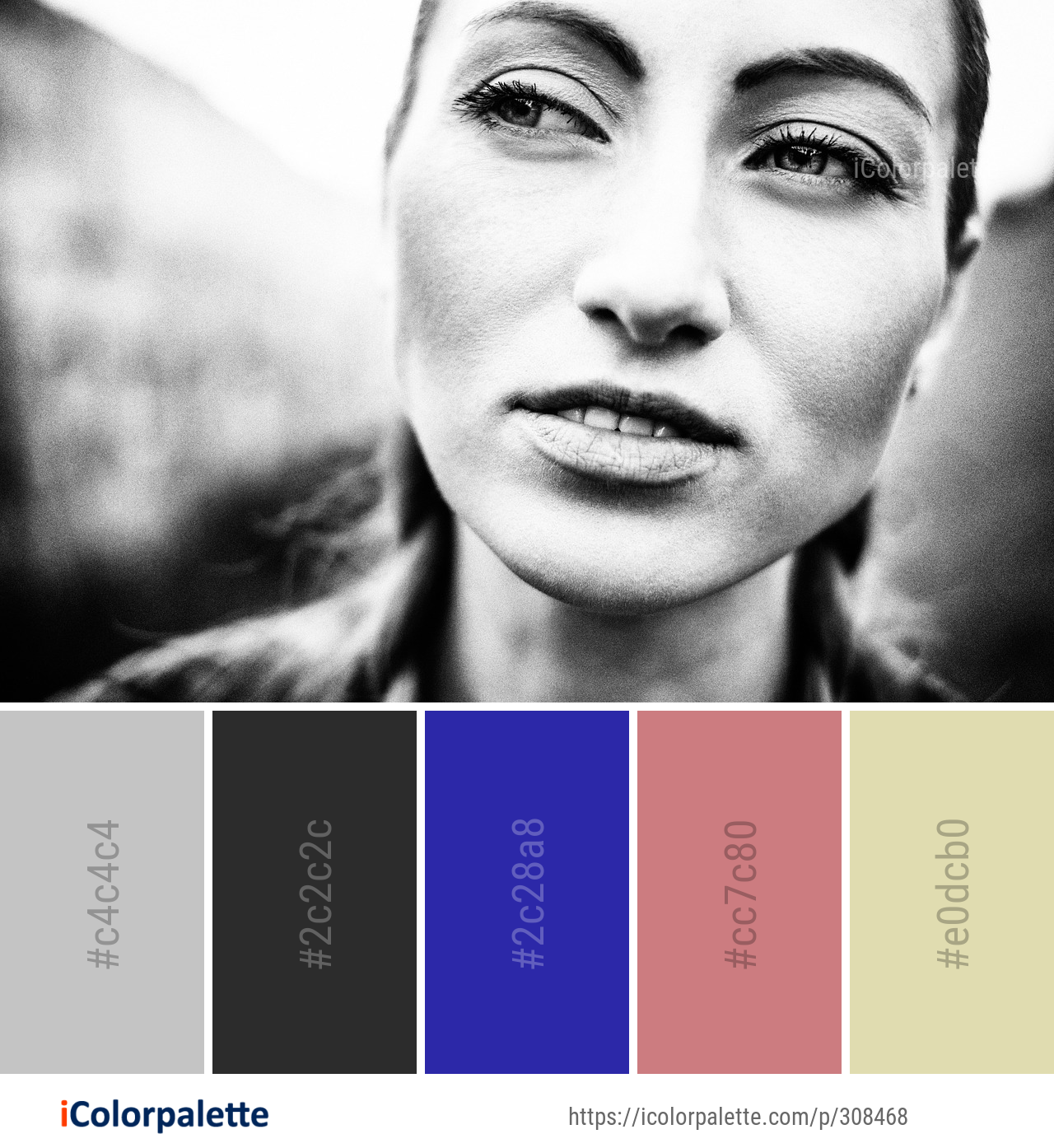 Color Palette Ideas from Face Eyebrow Person Image | iColorpalette