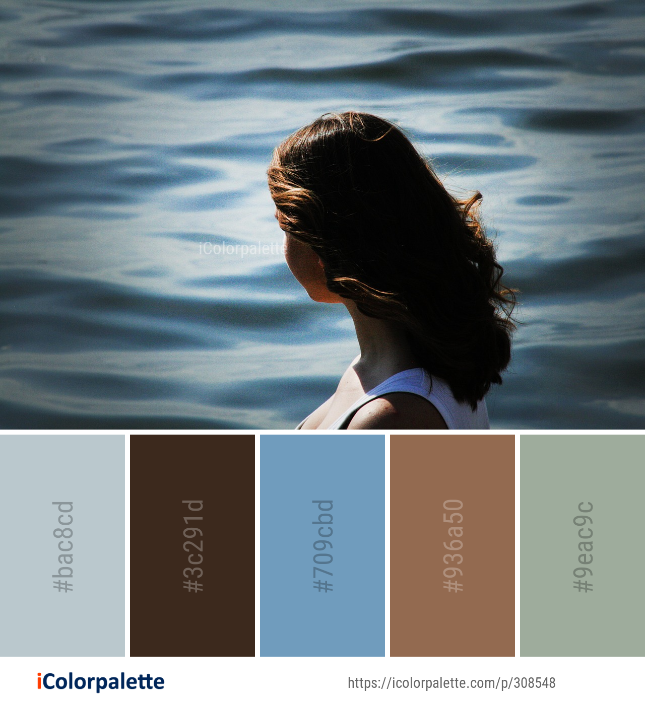 Color Palette Ideas from Water Blue Sea Image | iColorpalette