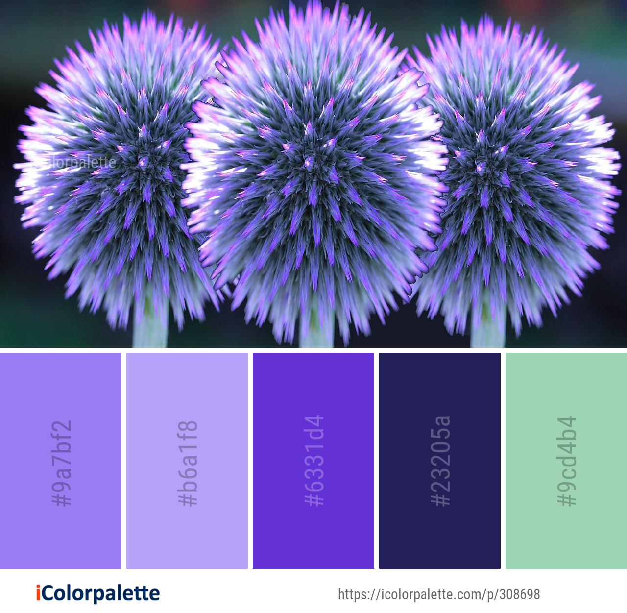 Color Palette Ideas from Purple Thistle Flower Image | iColorpalette