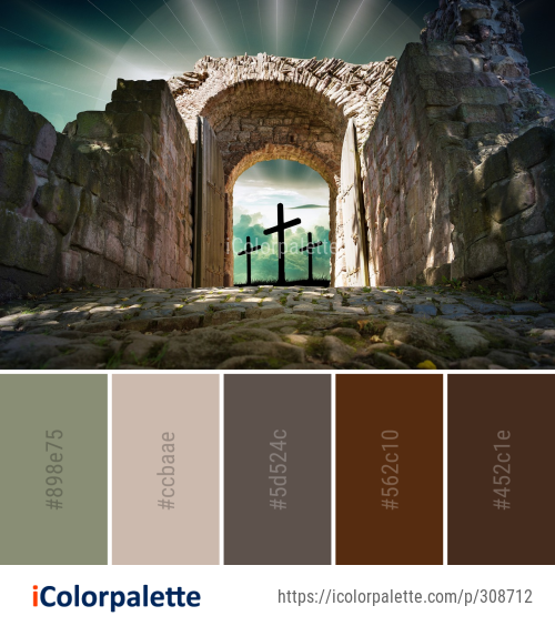 Color Palette Ideas from Ruins Sky Historic Site Image | iColorpalette