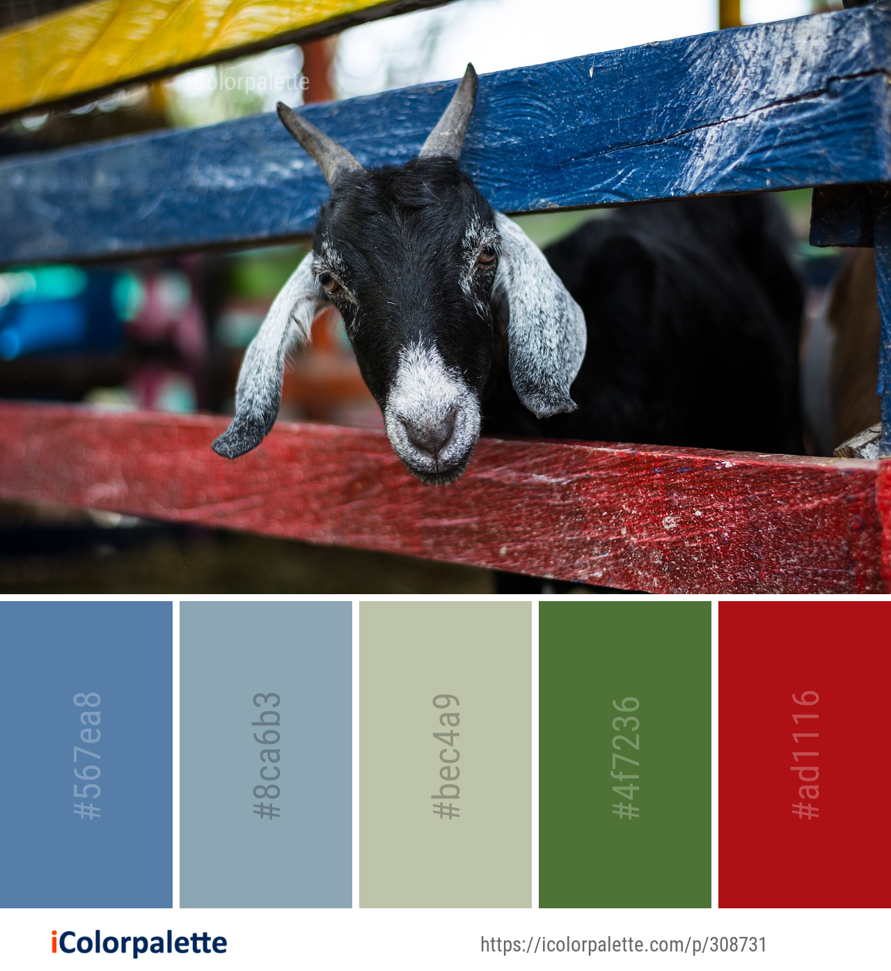 Color Palette Ideas from Goats Goat Livestock Image | iColorpalette