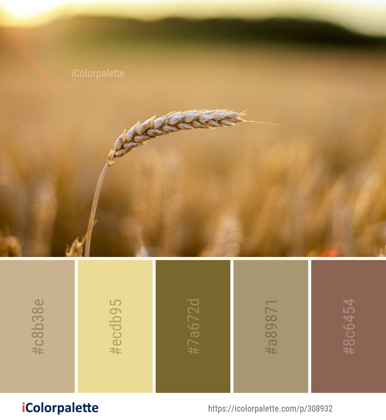 82+ Grain Color Palette ideas in 2025 | iColorPalette