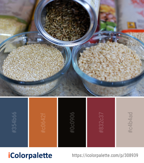 22+ Spice Color Palette ideas in 2025 | iColorPalette