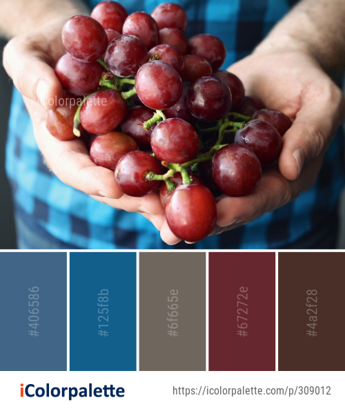 30+ Cranberry Color Palette ideas in 2026 | iColorPalette