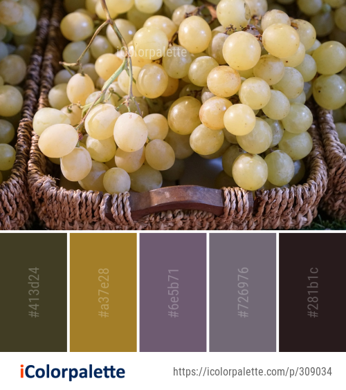 Color Palette Ideas from Grape Fruit Grapevine Family Image | iColorpalette