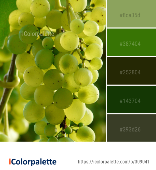 Green Grape Color 61 Grape Color Palette Ideas In 2025 | IColorpalette