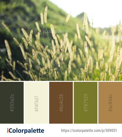 Color Palette Ideas from Grass Field Family Image | iColorpalette