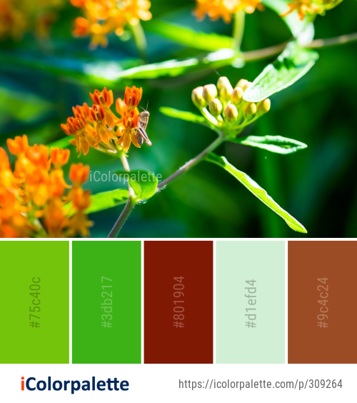 Color Palette Ideas from Flower Flora Nectar Image | iColorpalette