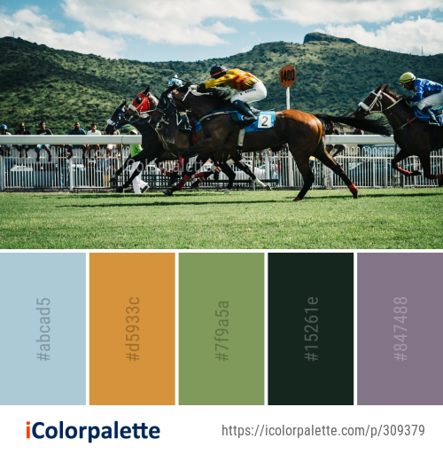 Color Palette Ideas from Jockey Horse Racing Image | iColorpalette