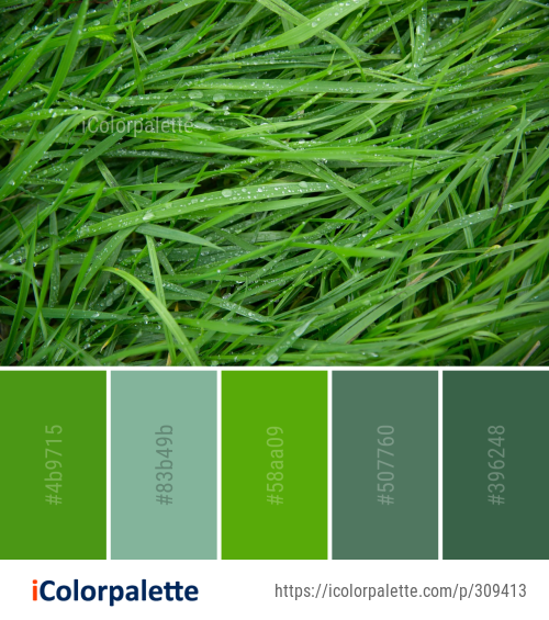 Color Palette Ideas from Grass Family Moisture Image | iColorpalette