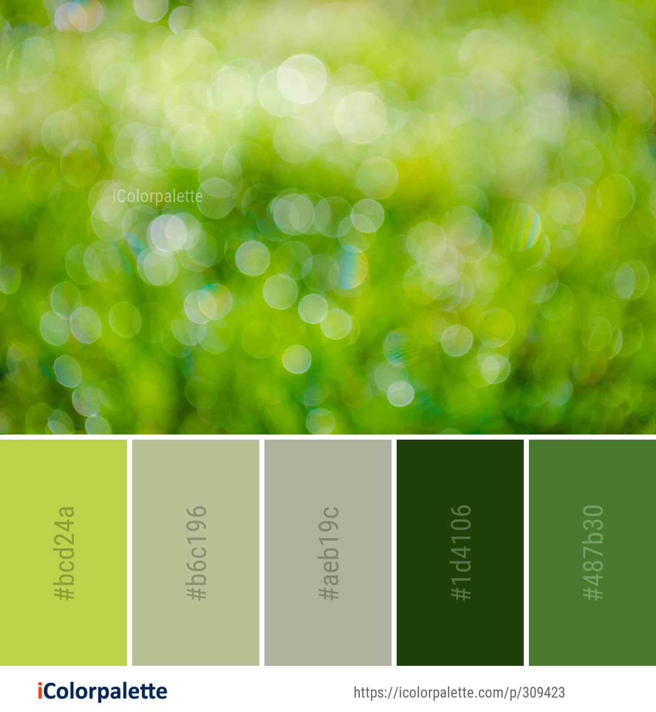 Color Palette Ideas from Green Nature Leaf Image | iColorpalette