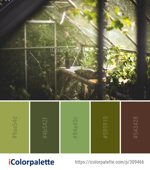 49 Green Color Combinations | Curated collection of Color Palettes