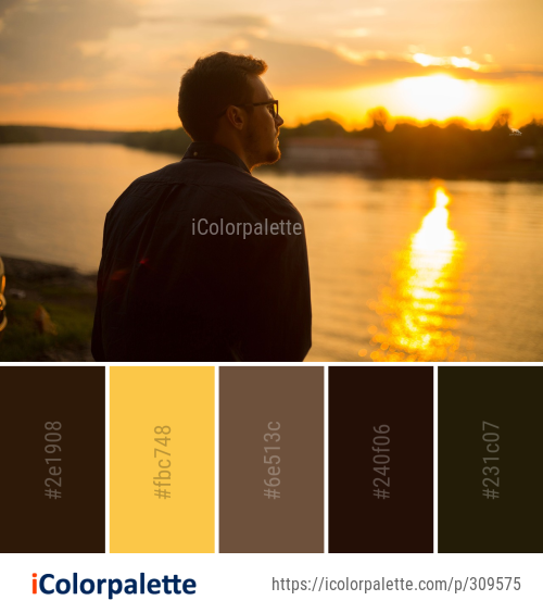 75 Sunset Color Schemes | Curated collection of Color Palettes