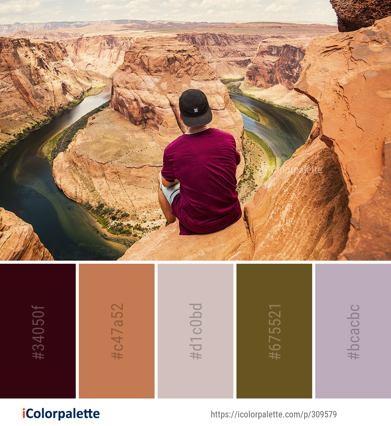 Color Palette Ideas from Canyon Rock Badlands Image | iColorpalette